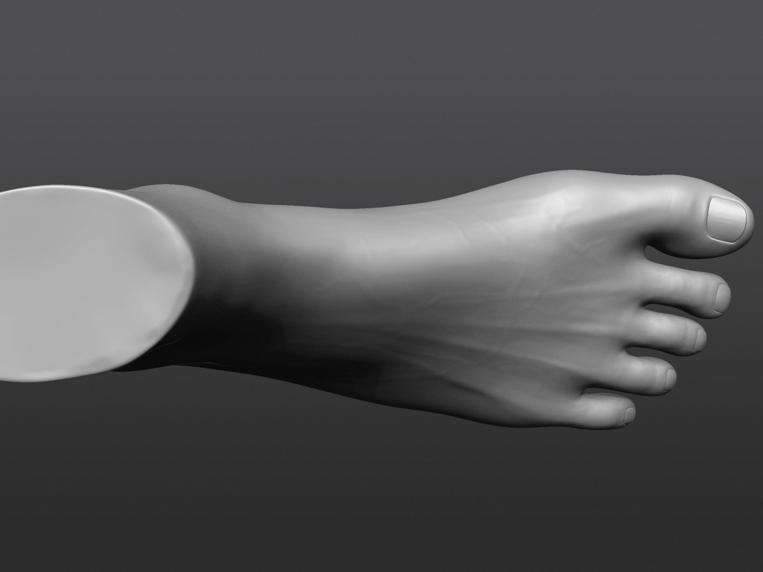 Human 3D foot model 3D model | CGTrader