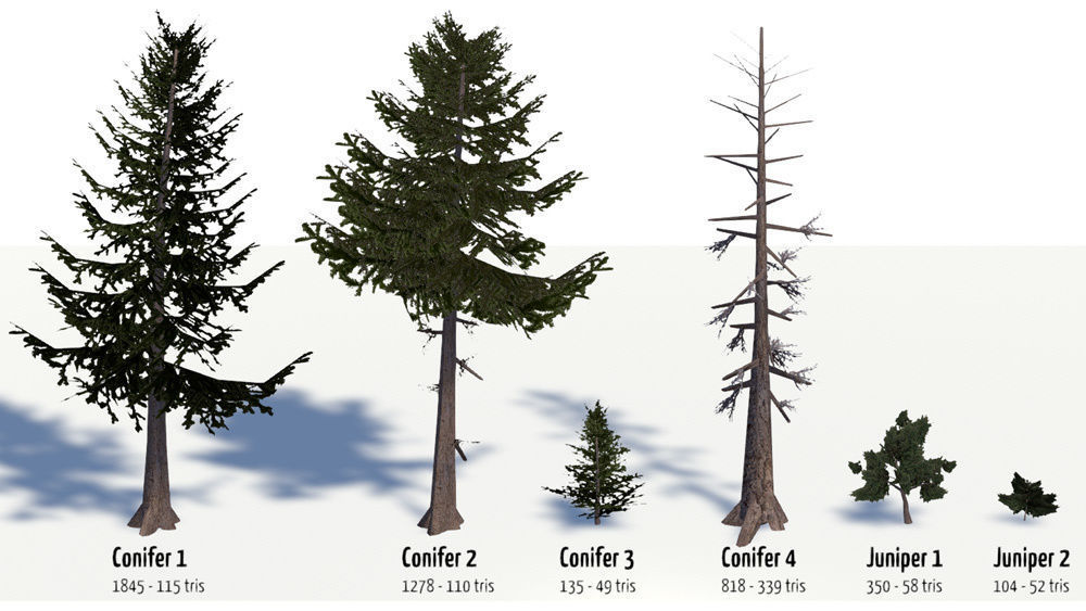 3D model Conifer Trees VR / AR / low-poly | CGTrader