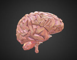 Animated Brain 3D Models | CGTrader