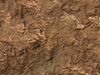 PBR seamless procedural rock textures Texture | CGTrader