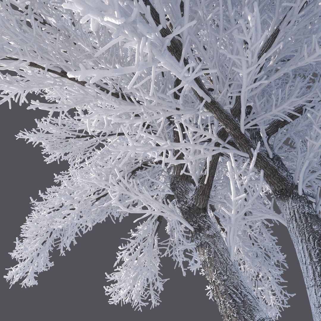 Winter tree 6 meters 3D model | CGTrader