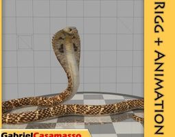 Animated Cobra 3D Models | CGTrader