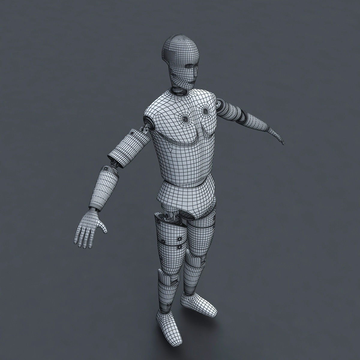 Male Crash Test Dummy 3D model | CGTrader