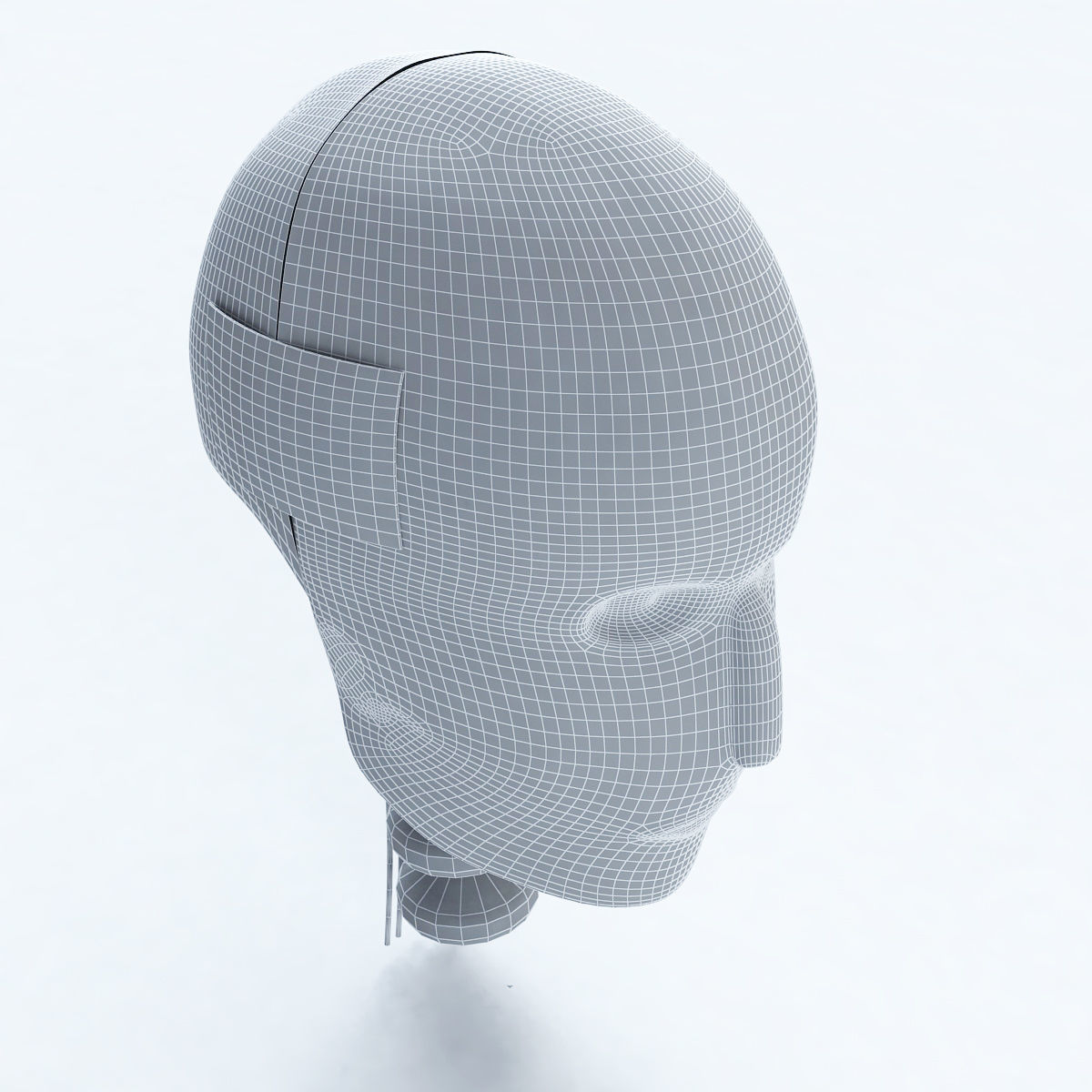 Male Crash Test Dummy Head 3D model | CGTrader