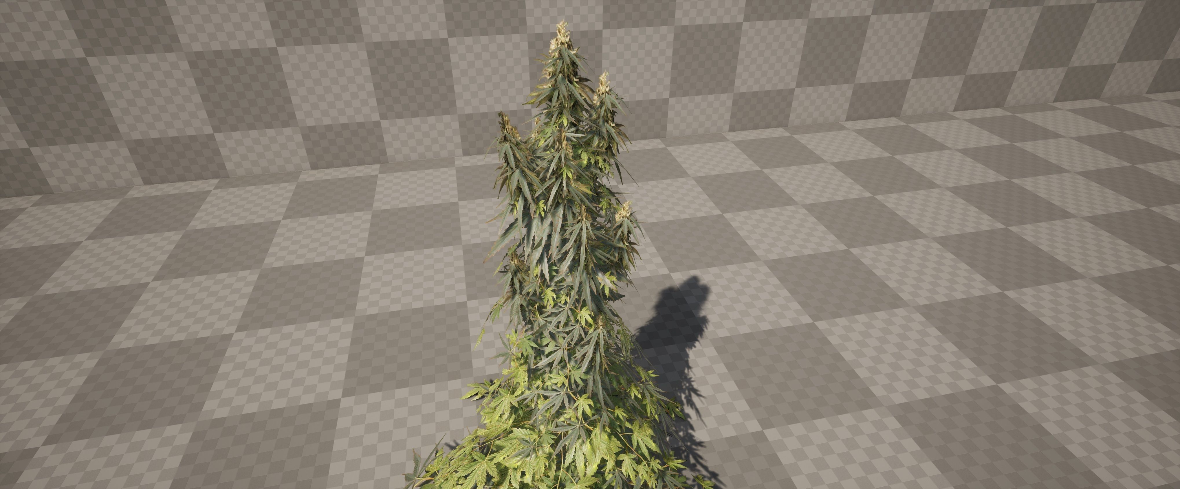 3D model Cannabis Pack Lowpoly VR / AR / low-poly | CGTrader