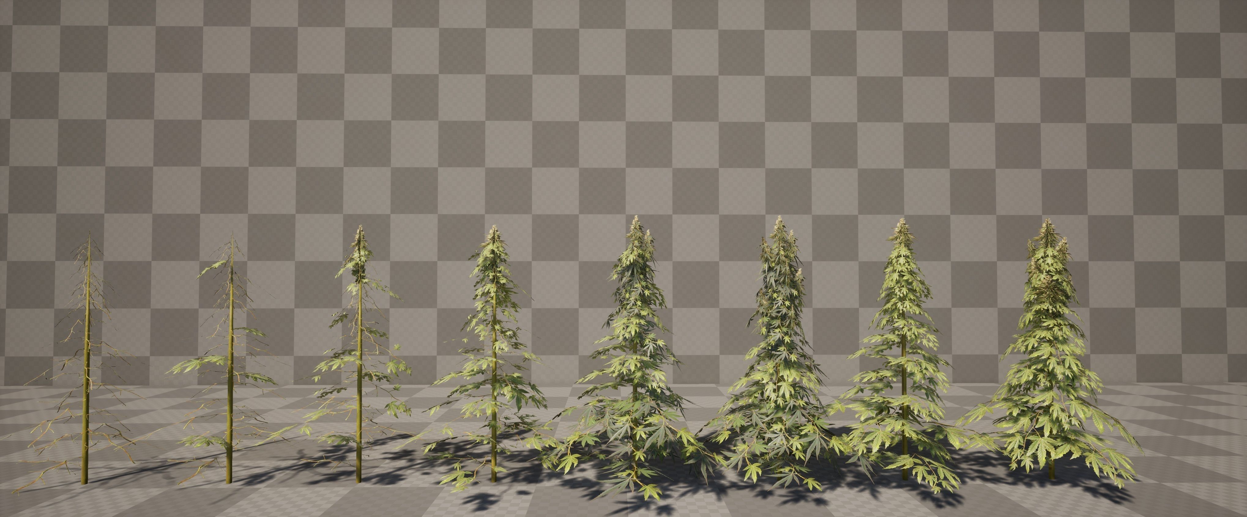 3D model Cannabis Pack Lowpoly VR / AR / low-poly | CGTrader