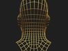 Human Face Wireframe Geometry 3D model | CGTrader