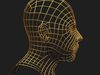 Human Face Wireframe Geometry 3D model | CGTrader