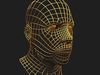 Human Face Wireframe Geometry 3D model | CGTrader