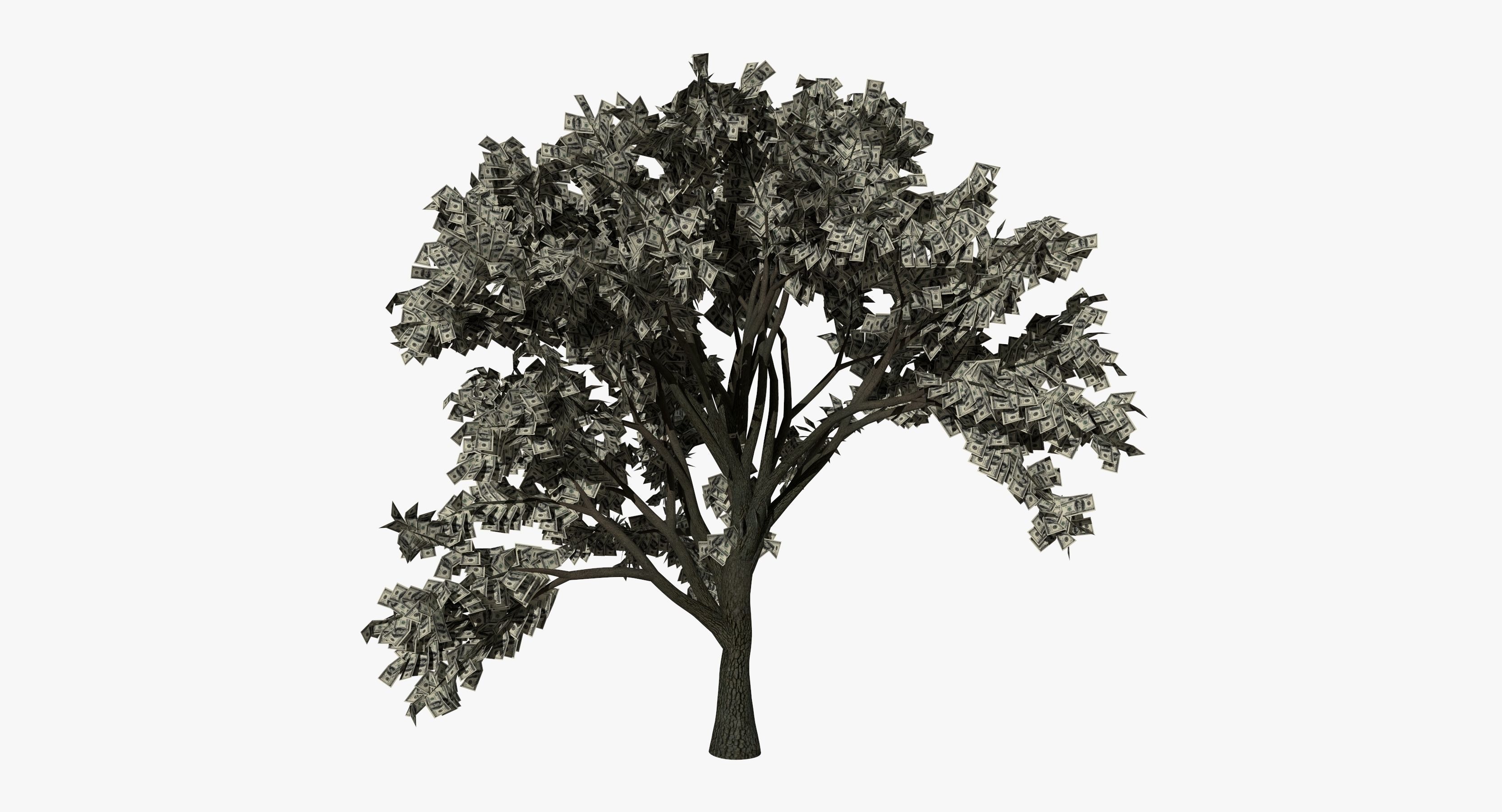 3D model Money Tree 3D model | CGTrader
