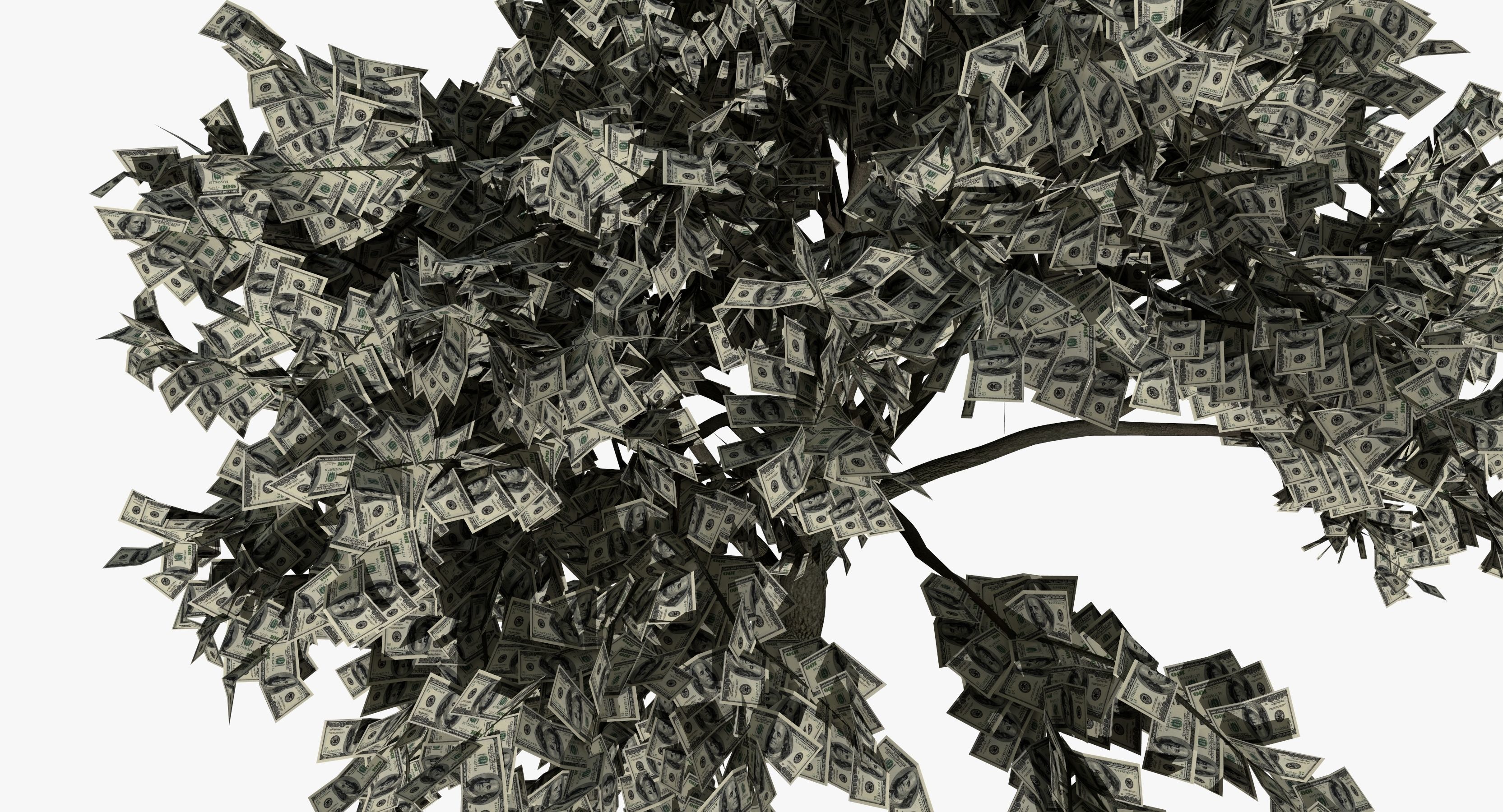 3D model Money Tree 3D model | CGTrader