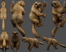 Sloth 3D Models | CGTrader