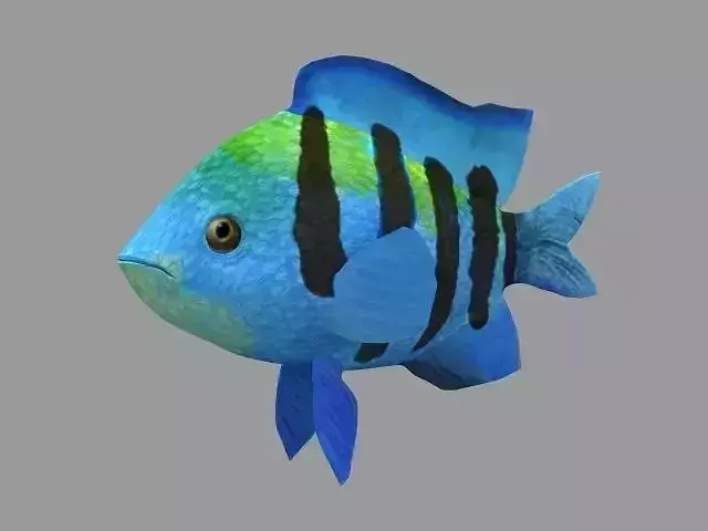 3D model Rig Fish03 VR / AR / low-poly rigged | CGTrader