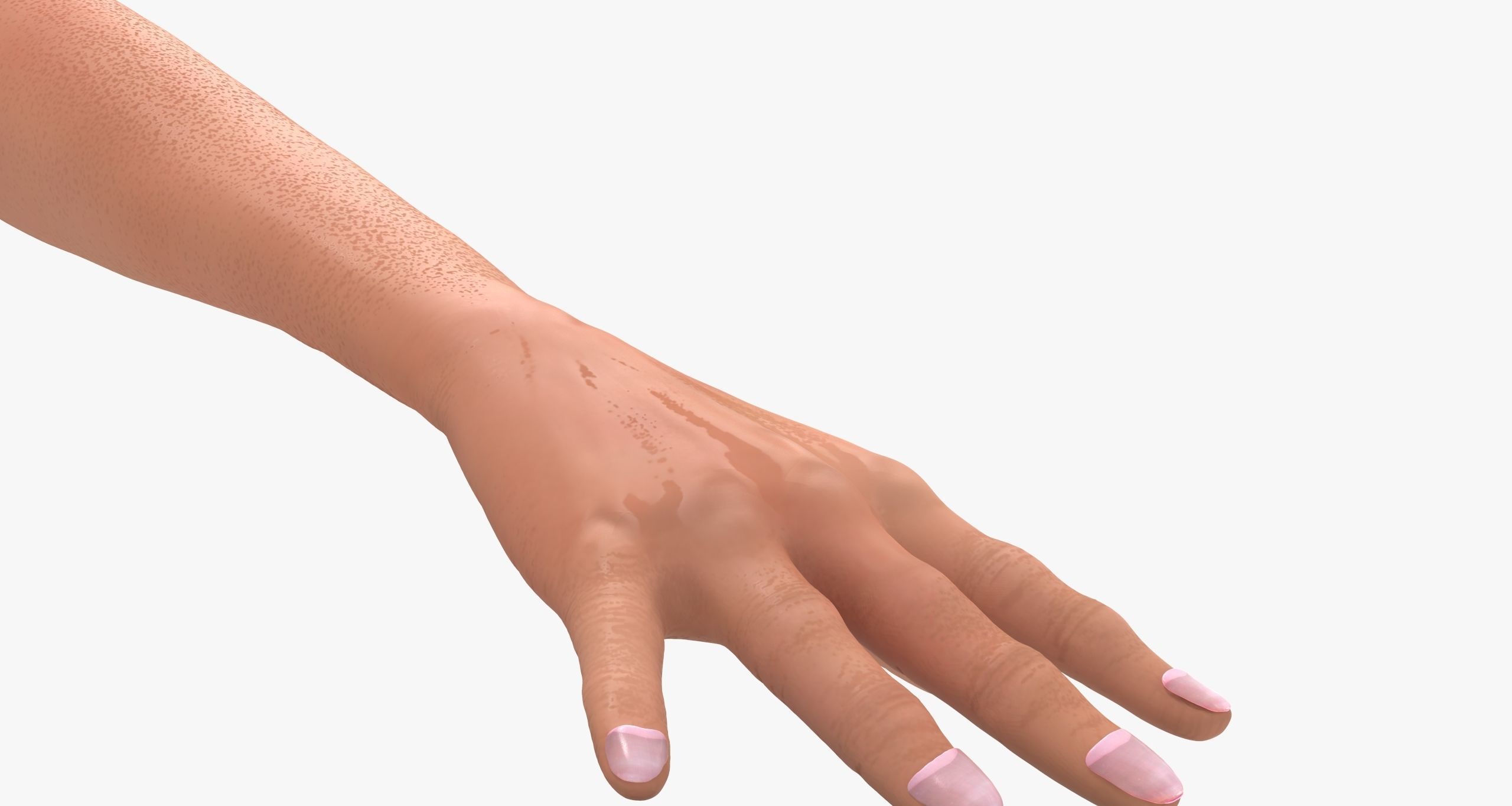 Human arm and nails 3D model | CGTrader