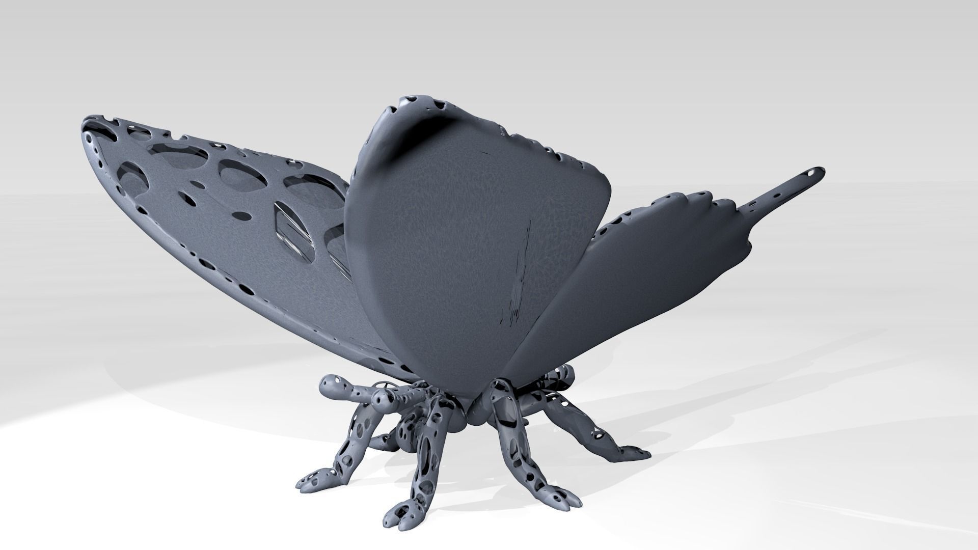 Butterfly Dust Voronoi 3D model | CGTrader