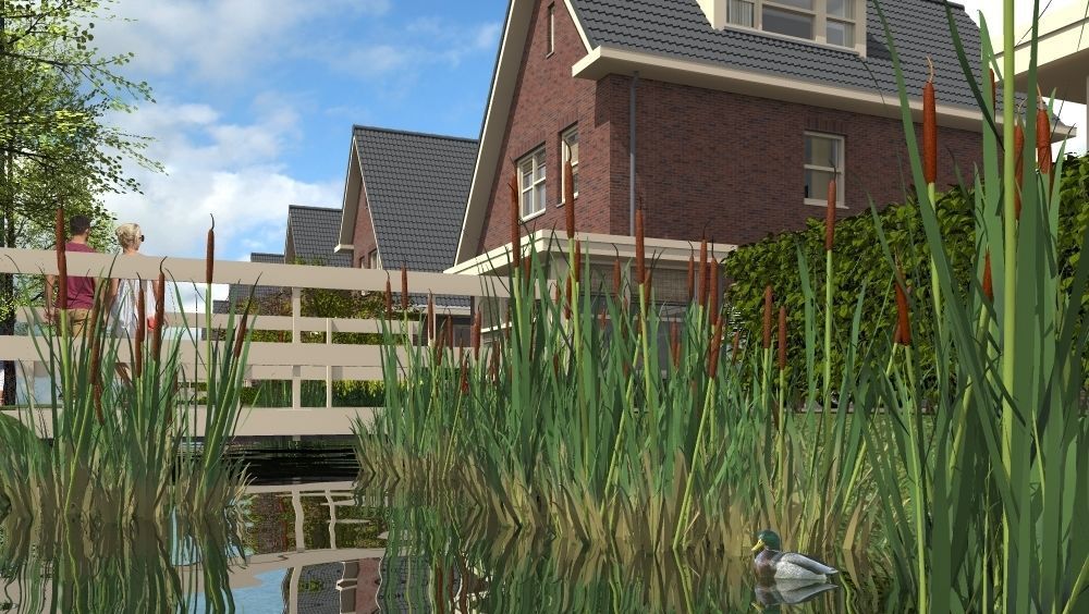 reeds floating in water 3D model | CGTrader