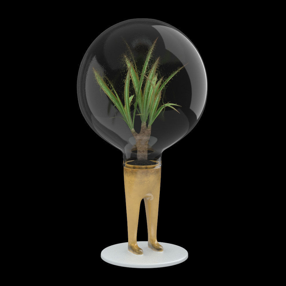 Terrarium 3D model | CGTrader
