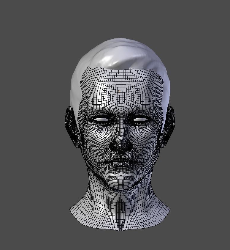 Caucasian Base Head Sculpt 3D model | CGTrader