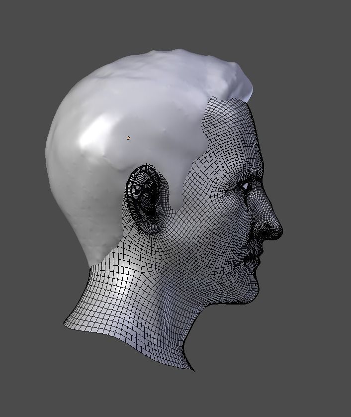 Caucasian Base Head Sculpt 3D model | CGTrader