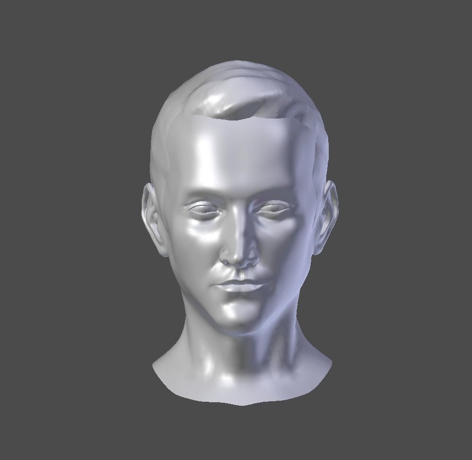 Caucasian Base Head Sculpt 3D model | CGTrader