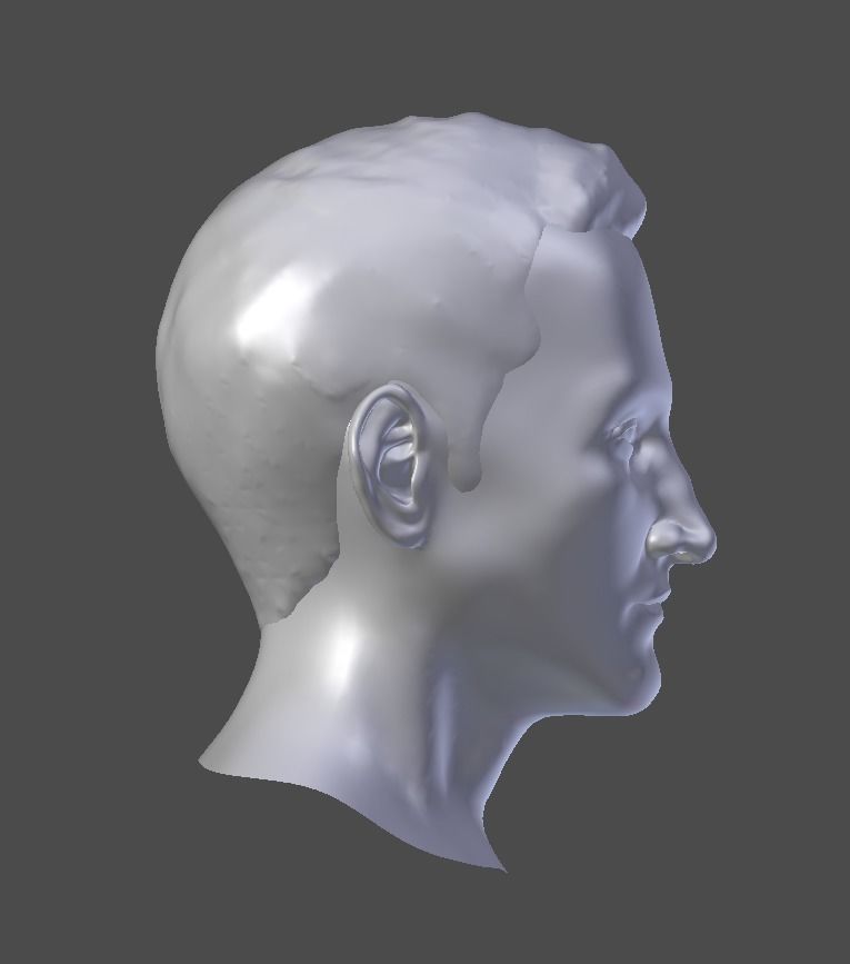 Caucasian Base Head Sculpt 3D model | CGTrader