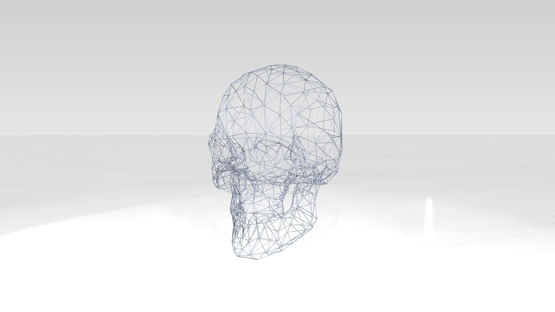Skull Wireframe 3D model | CGTrader