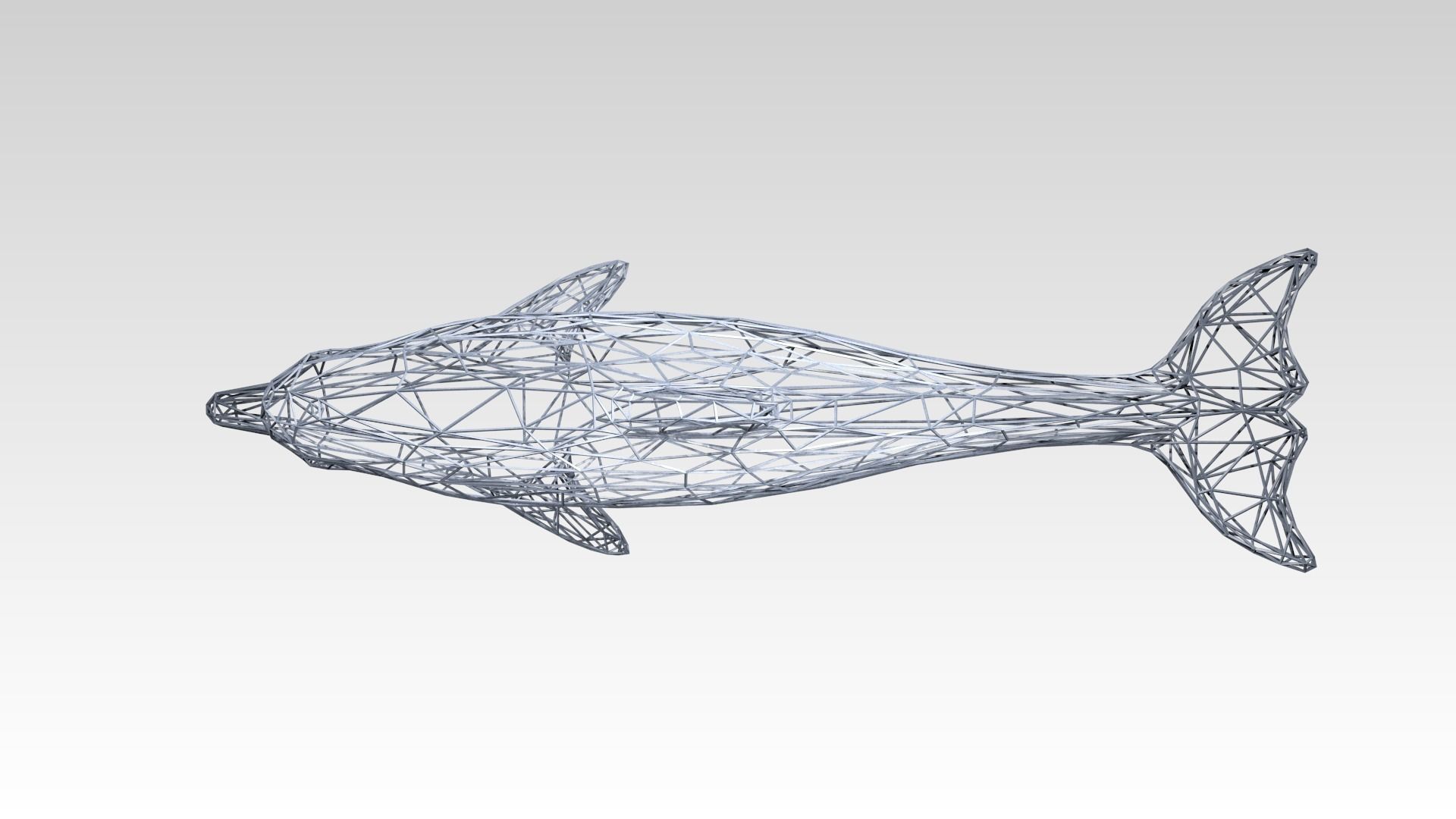 Dolphin Wireframe 3D model | CGTrader