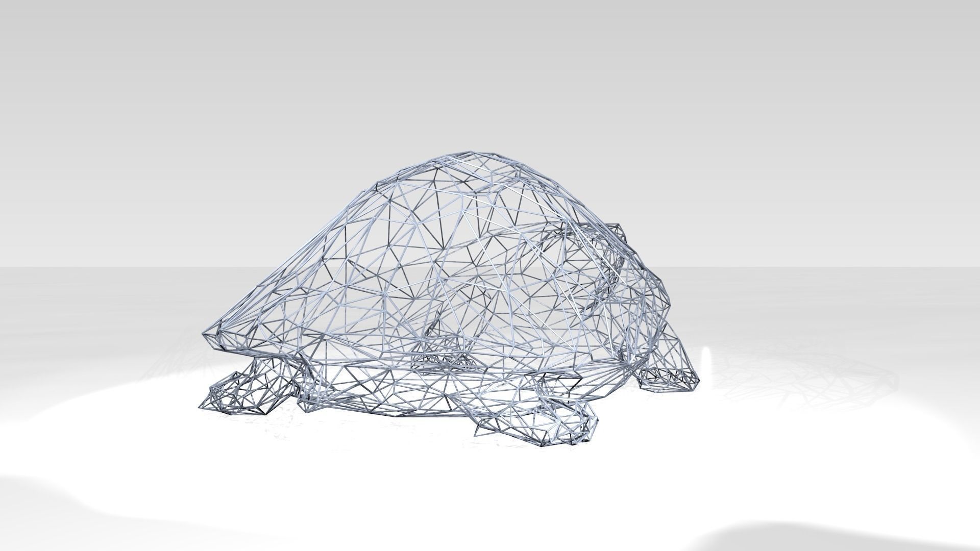 Turtle Wireframe 3D model | CGTrader