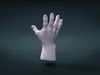 High Poly Hand 3D model 3D printable | CGTrader