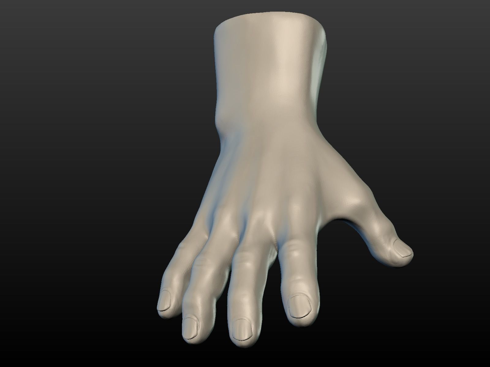 High Poly Hand 3D model 3D printable | CGTrader