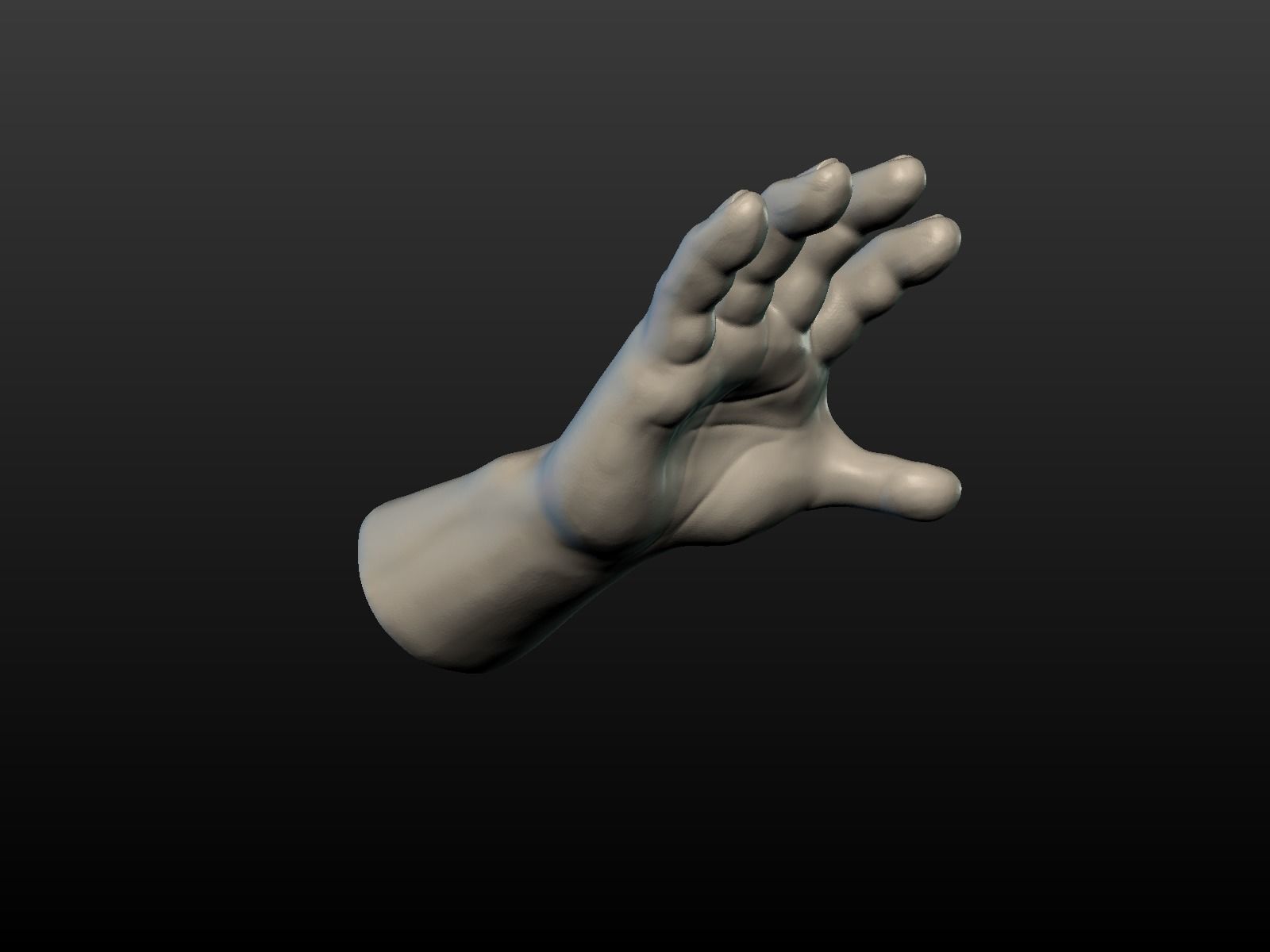 High Poly Hand 3D model 3D printable | CGTrader