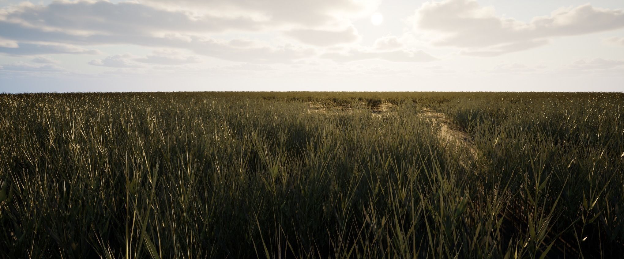 3D model Realistic Optimized Reed Pack VR / AR / low-poly | CGTrader