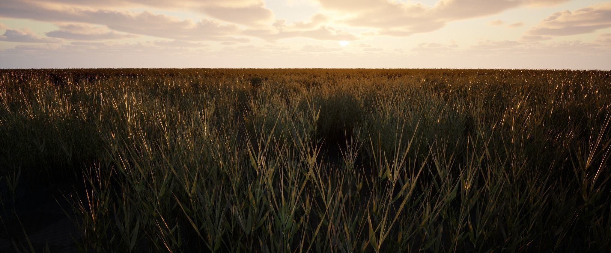 3D model Realistic Optimized Reed Pack VR / AR / low-poly | CGTrader