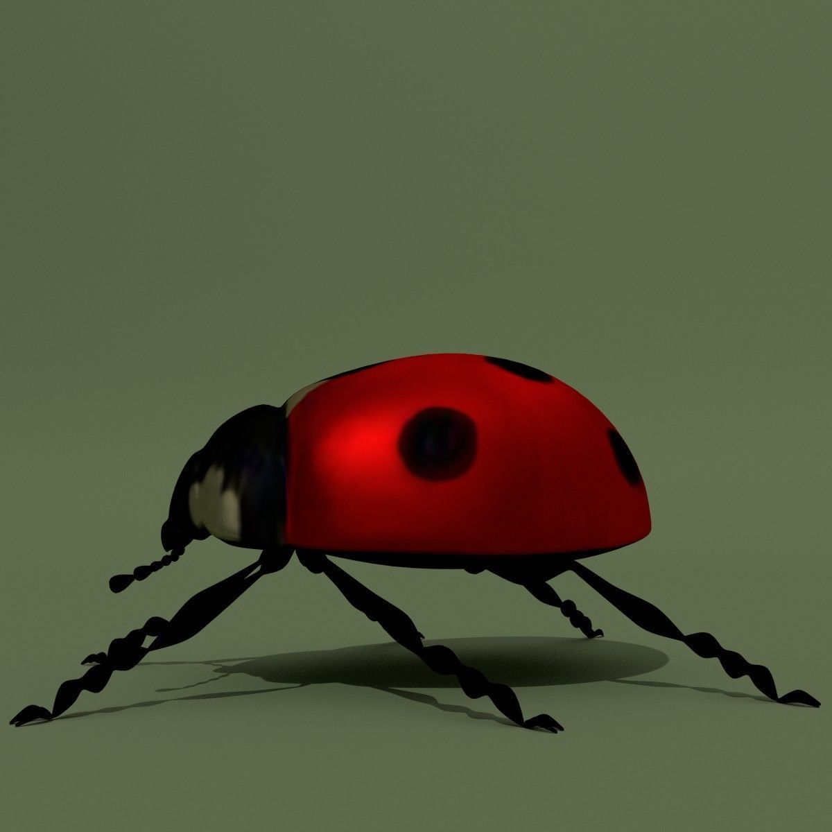 3D model LowPoly Ladybug VR / AR / low-poly | CGTrader