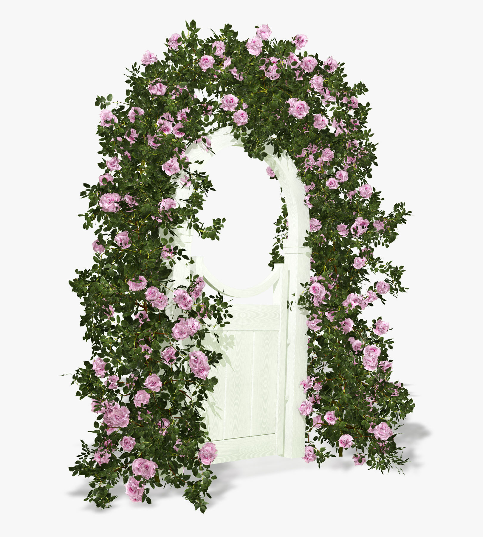 Rose climbing 3D model | CGTrader