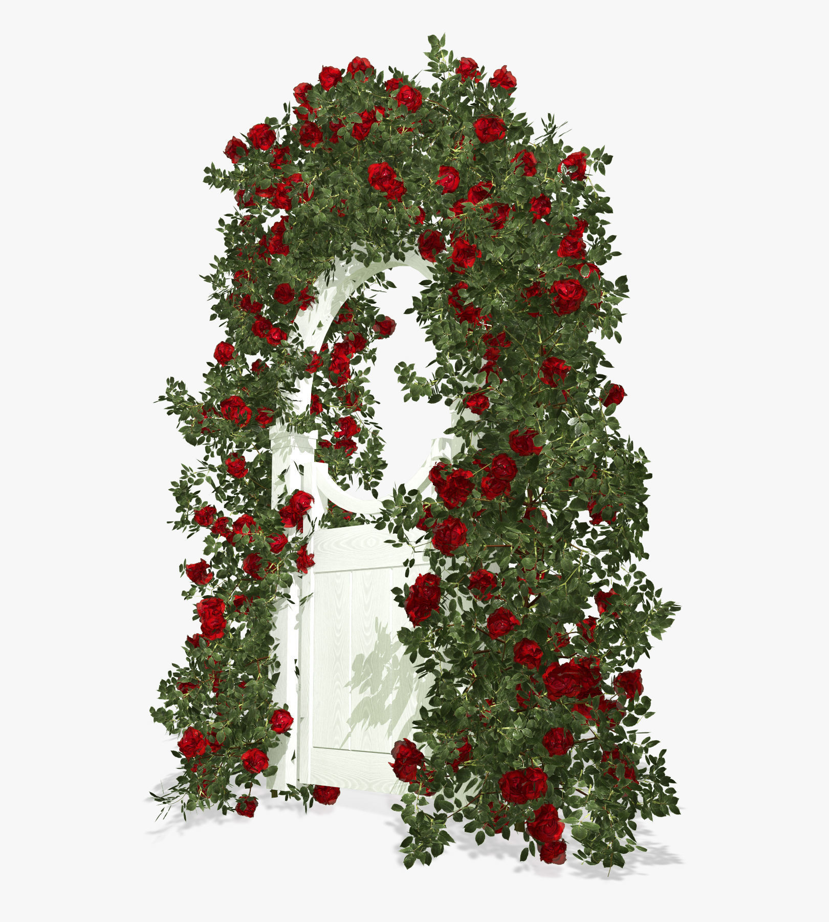 Rose climbing 3D model | CGTrader