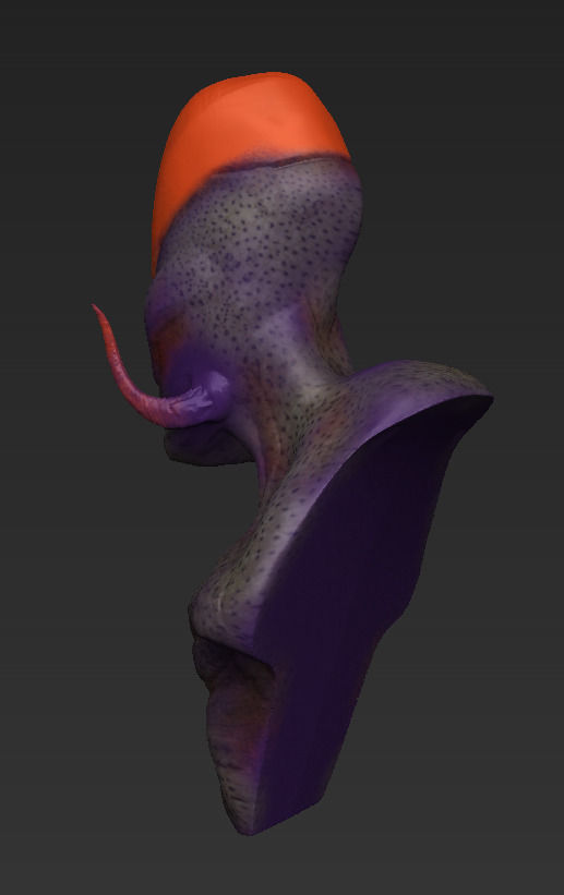 Alien head with horns 3D model | CGTrader