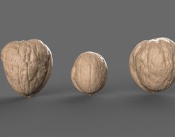 Walnut 3D Models | CGTrader