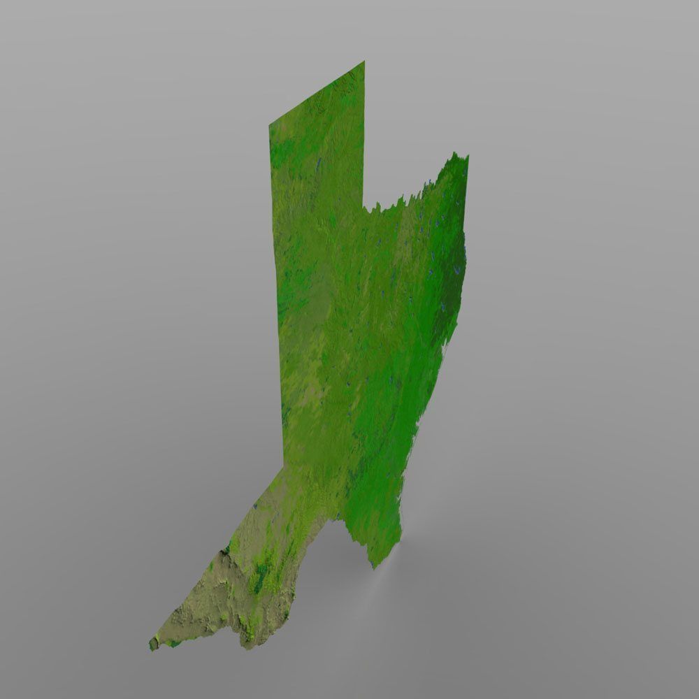 Texas State in 3ds and obj format 3D model | CGTrader