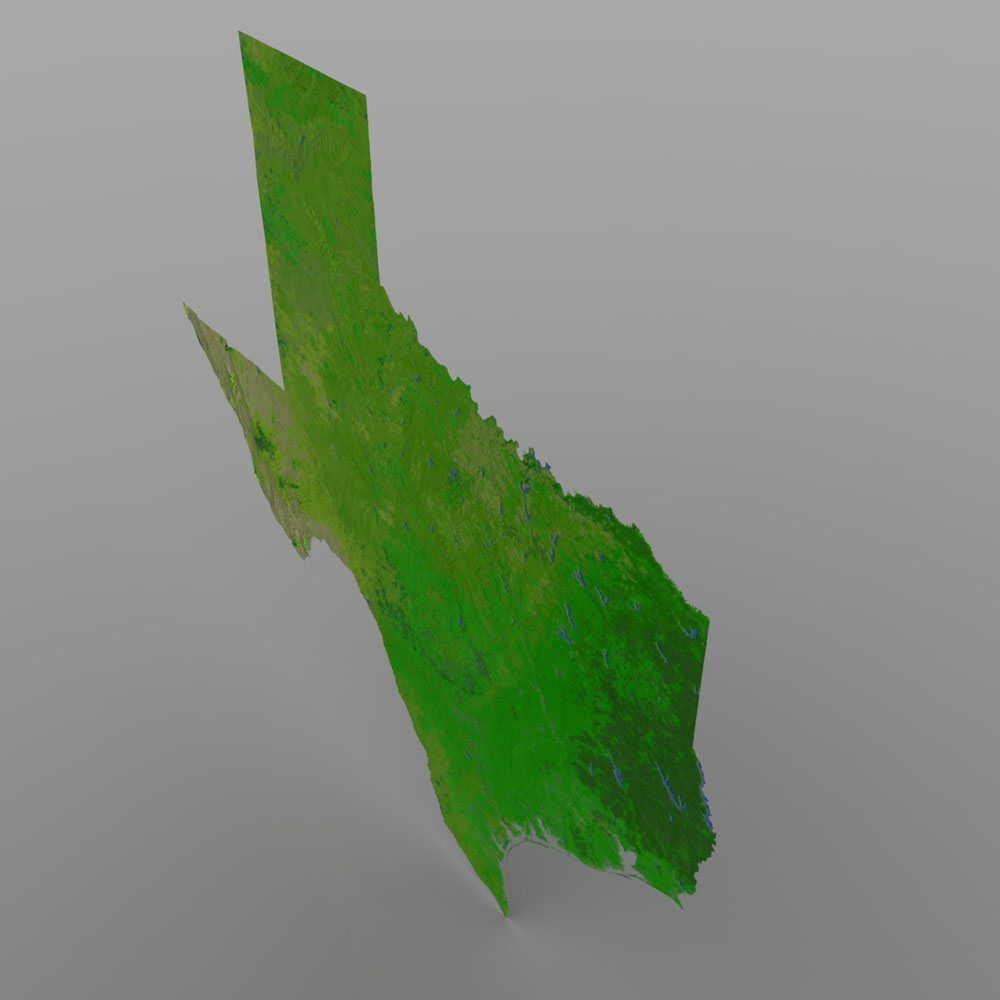 Texas State in 3ds and obj format 3D model | CGTrader
