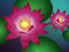 Lowpoly Handpainted lotus Plant free VR / AR / low-poly 3D model | CGTrader