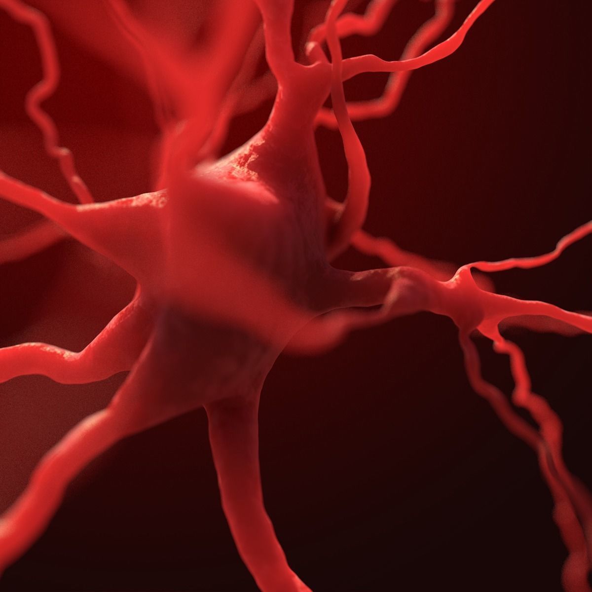 Dendrite neuron nerve cell 3D model | CGTrader