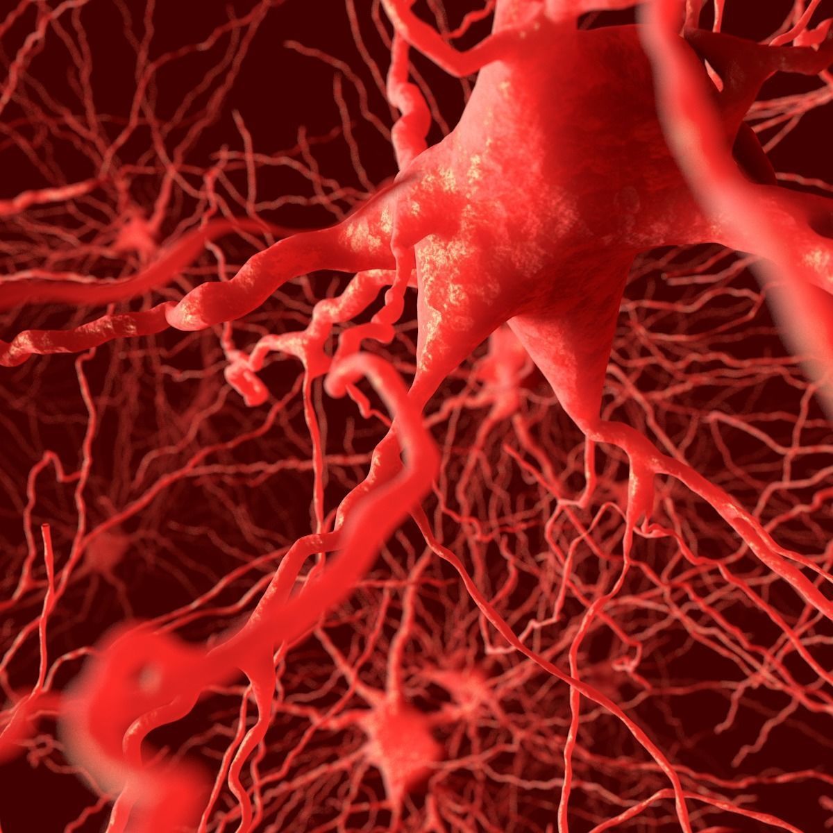 Dendrite neuron nerve cell 3D model | CGTrader