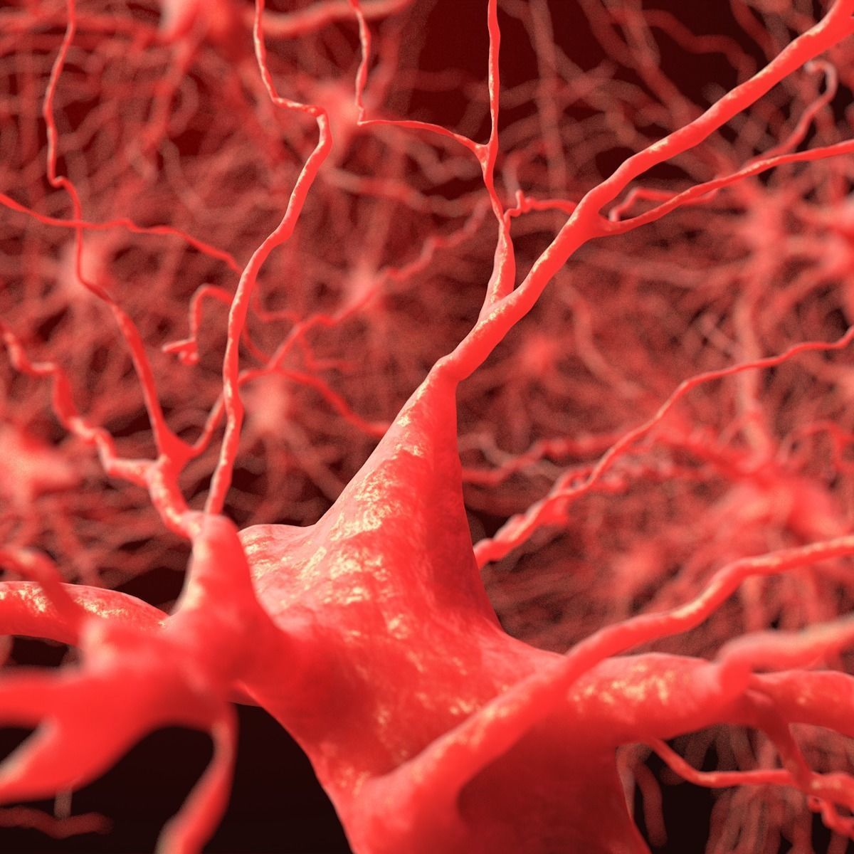 Dendrite neuron nerve cell 3D model | CGTrader