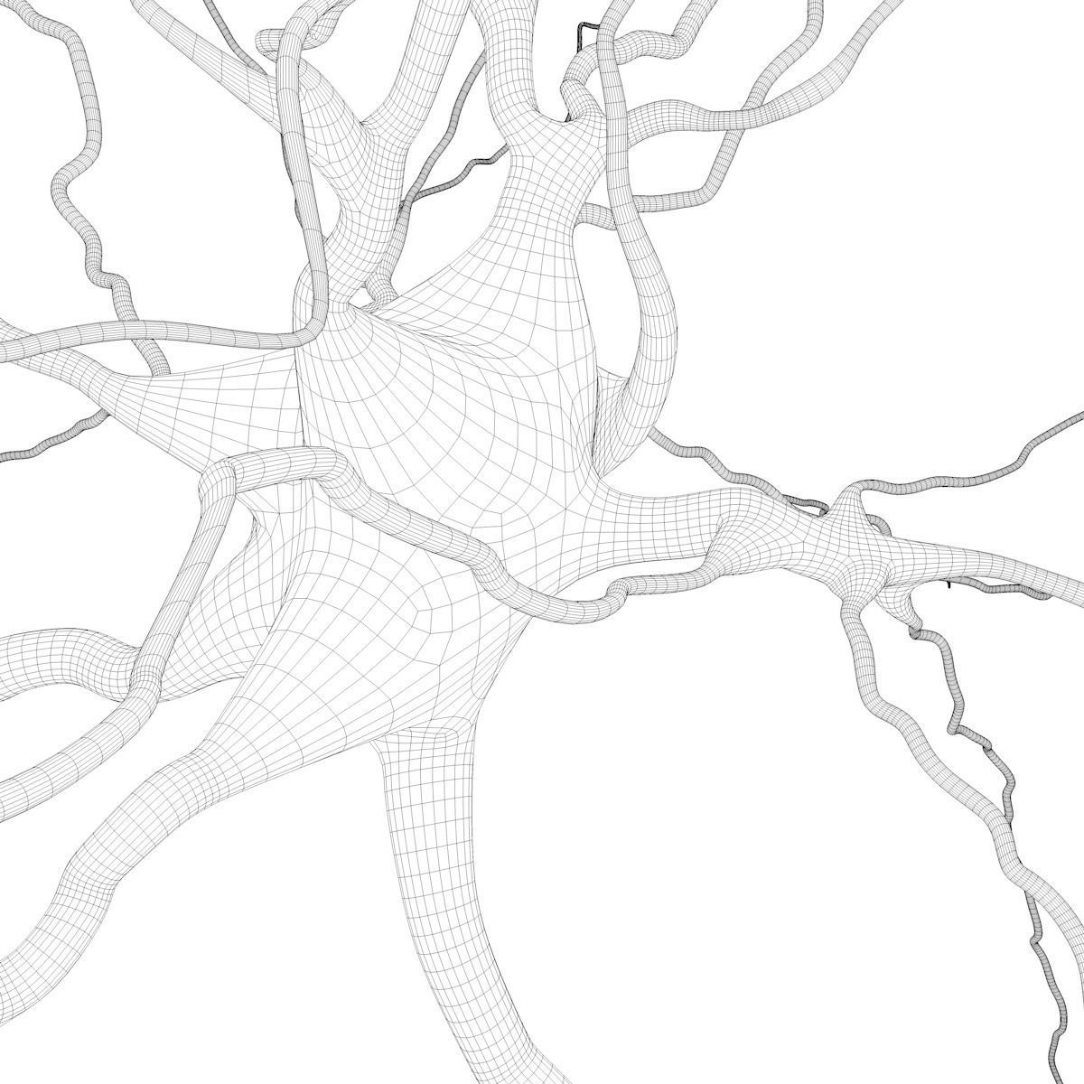 Dendrite neuron nerve cell 3D model | CGTrader