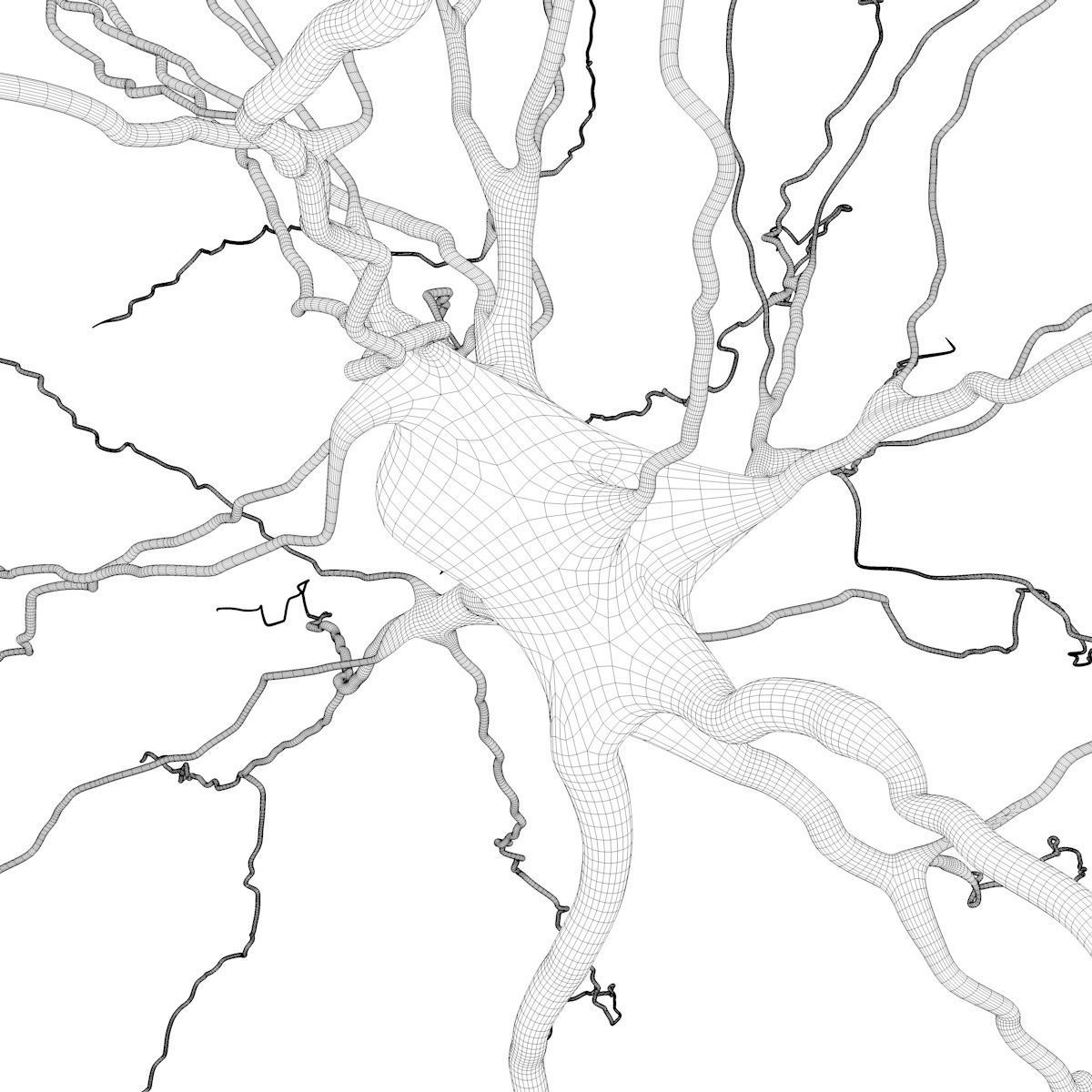 Dendrite neuron nerve cell 3D model | CGTrader