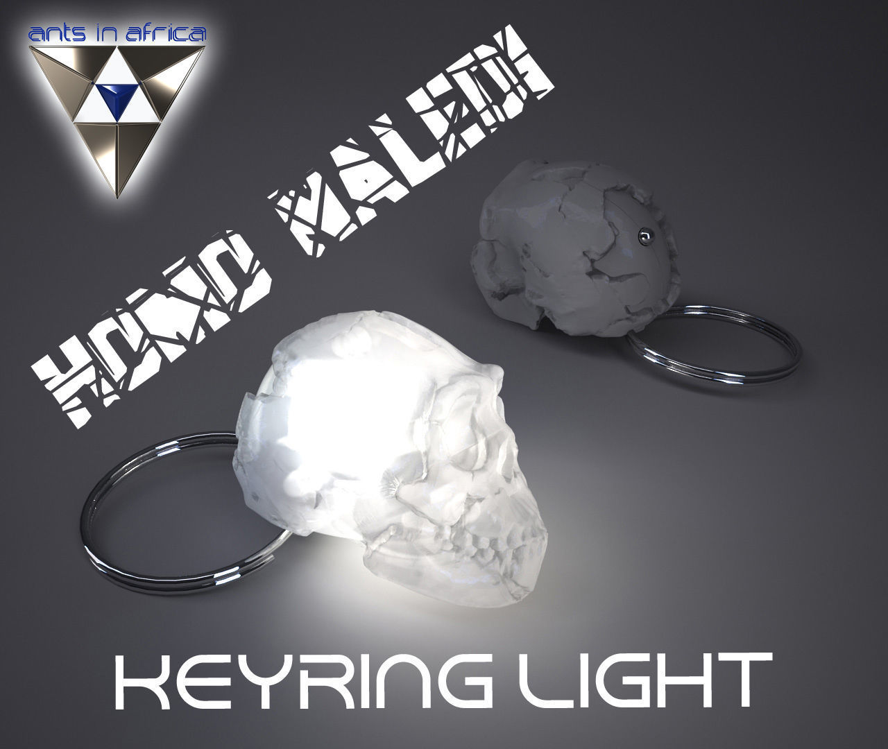 Homo Naledi Skull key-ring light 3D model 3D printable | CGTrader