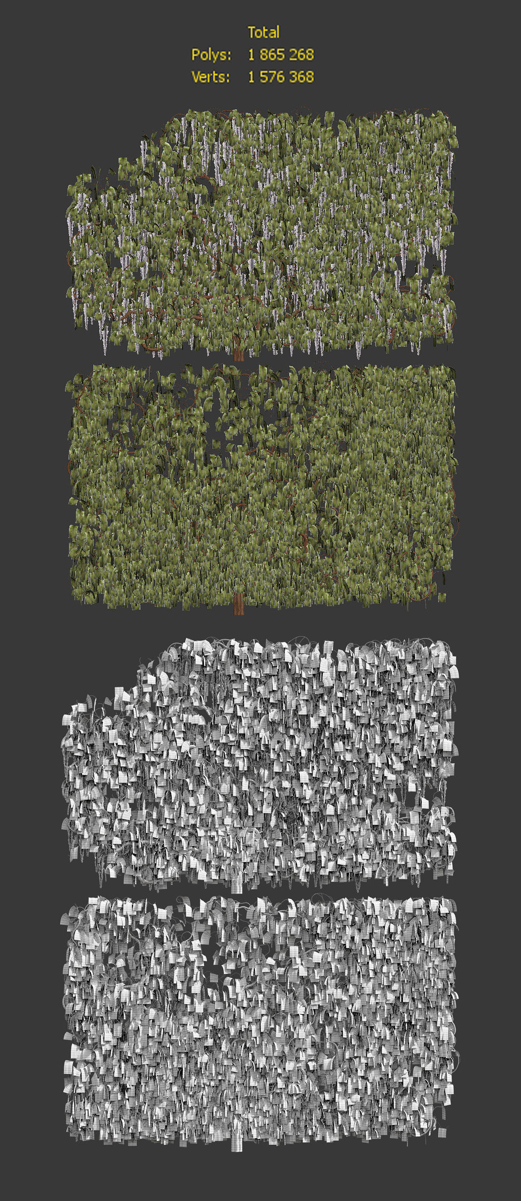 Wisteria plant free 3D model | CGTrader