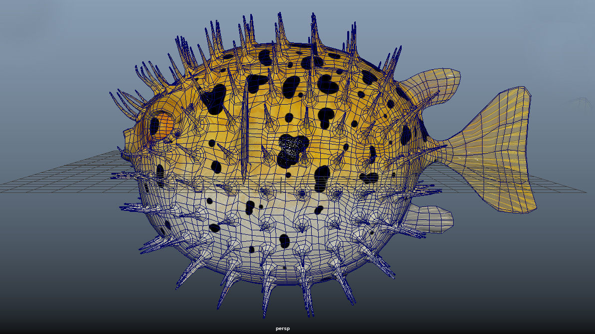 3D model Pufferfish VR / AR / low-poly rigged animated | CGTrader