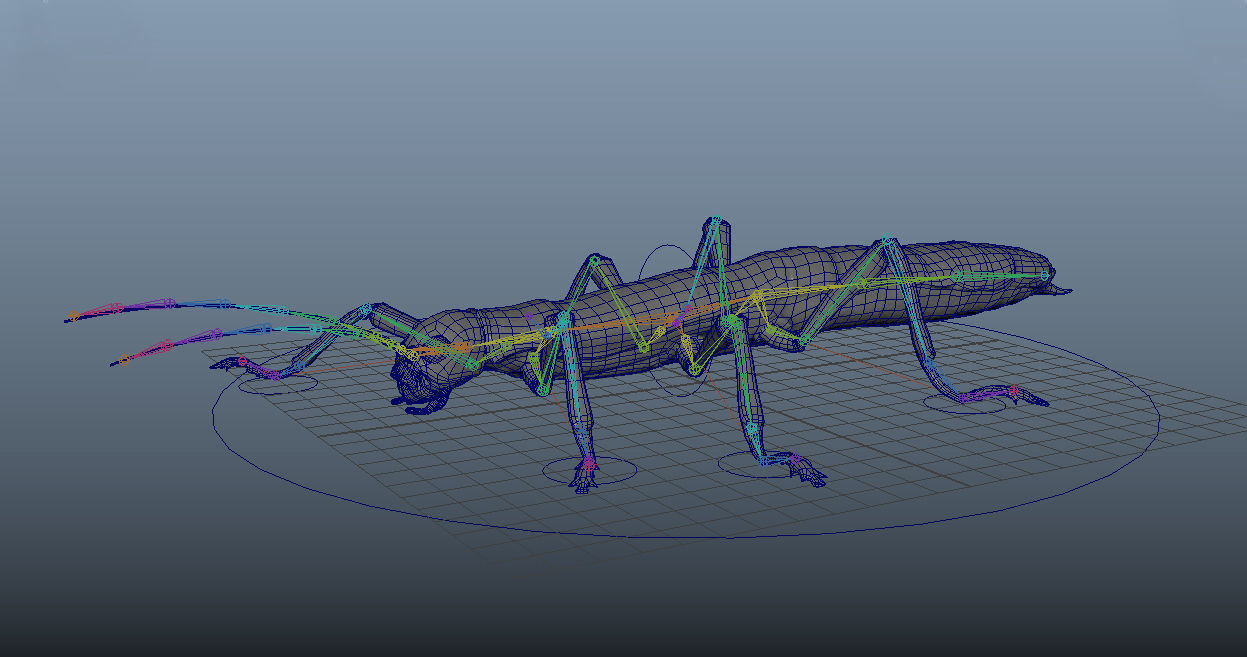 3D model Stick insect rigged VR / AR / low-poly rigged | CGTrader